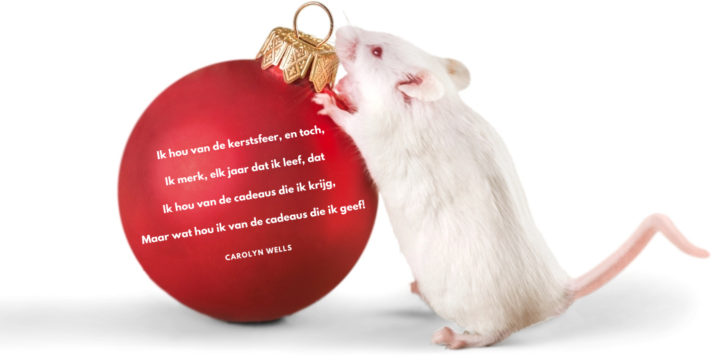 45 quotes | uitspraken over kerst | Vriendenboeken.nl